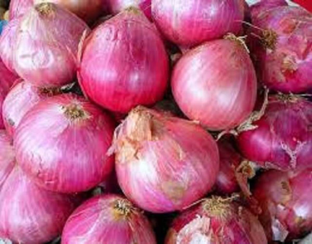 Receta de cebollas en vinagre. Preparación sencilla