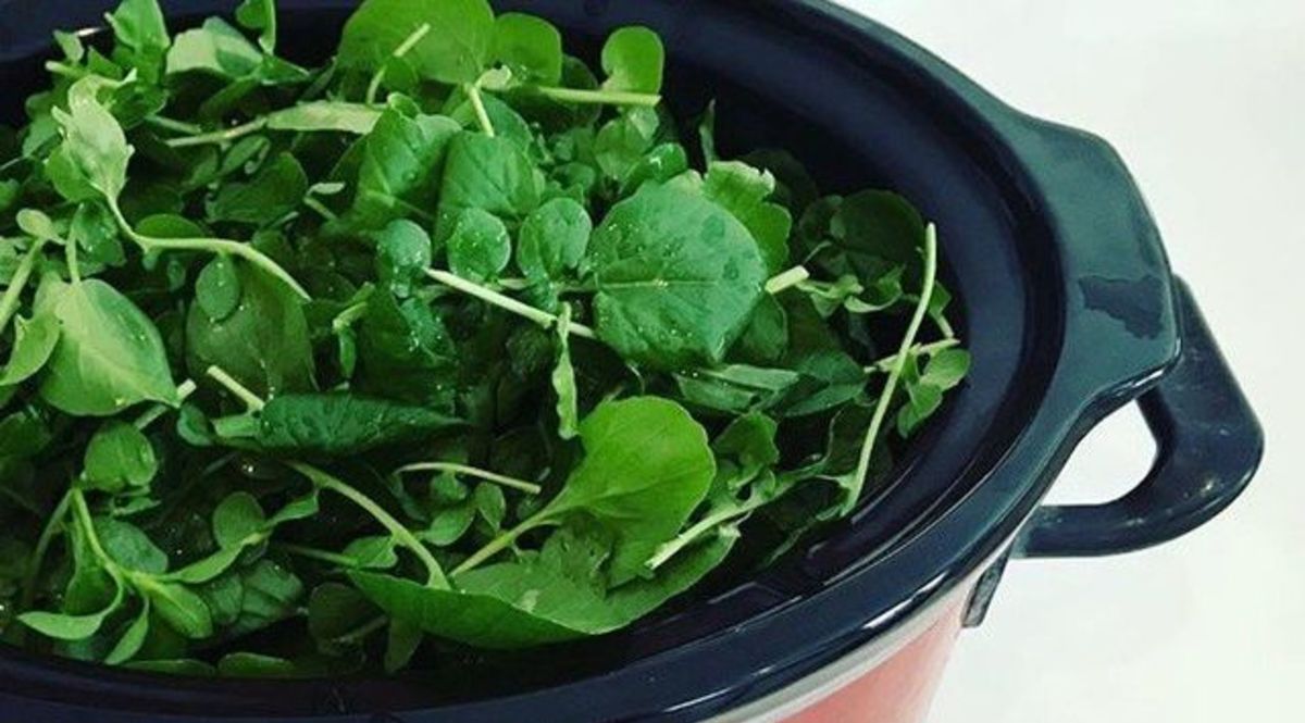 Receta de Berros al chirmol