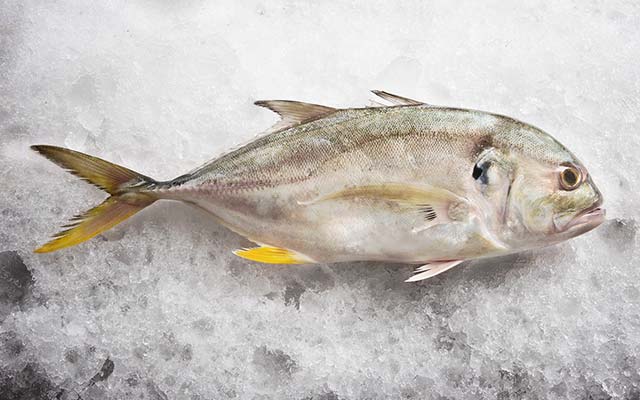 Receta de Jurel al horno