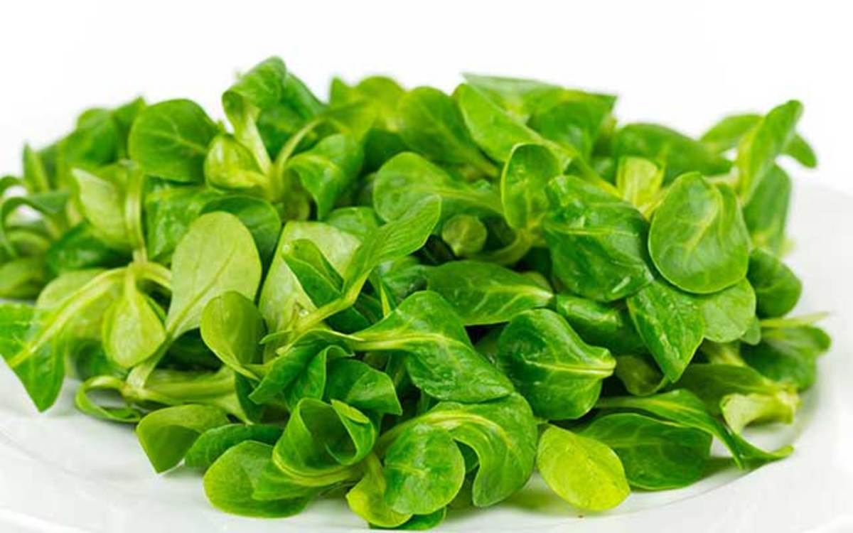 Receta de Ensalada de canónigos