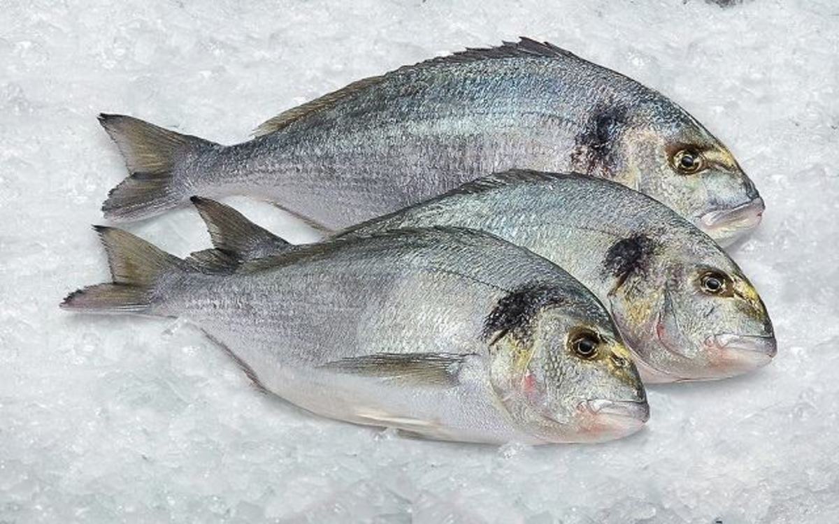 Receta de Dorada a la bilbaína