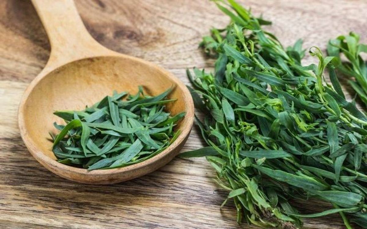 Receta de Salsa al estragon