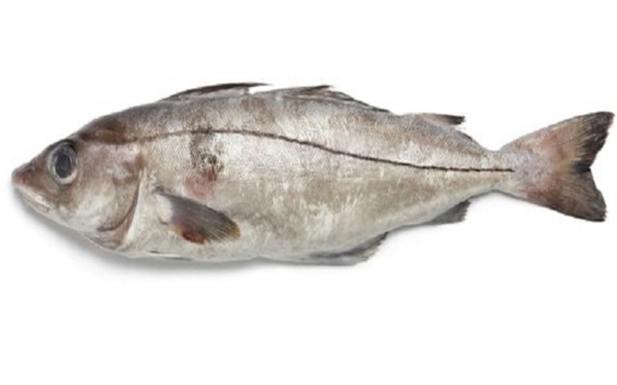 Receta de Abadejo a la plancha con salsa