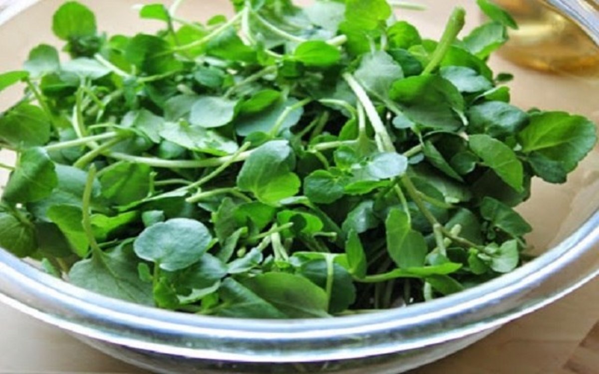 Receta de Ensalada de berros con tomate