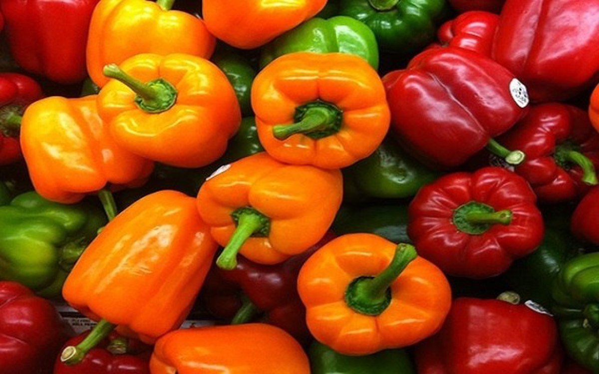 Receta de Paté de morrón